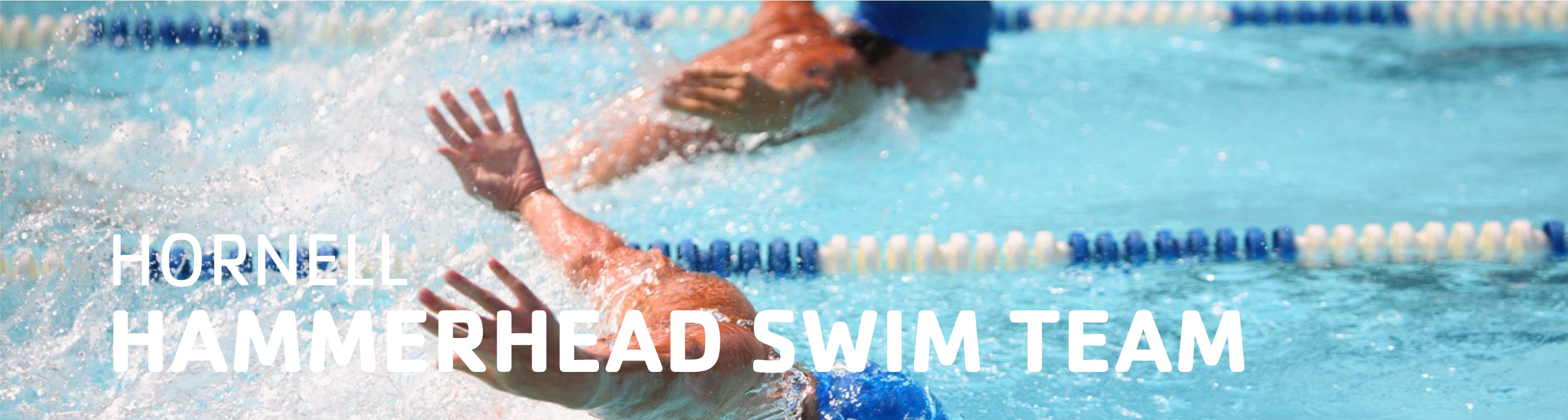 Hammerhead Swim Team | Tri-County YMCA of New York